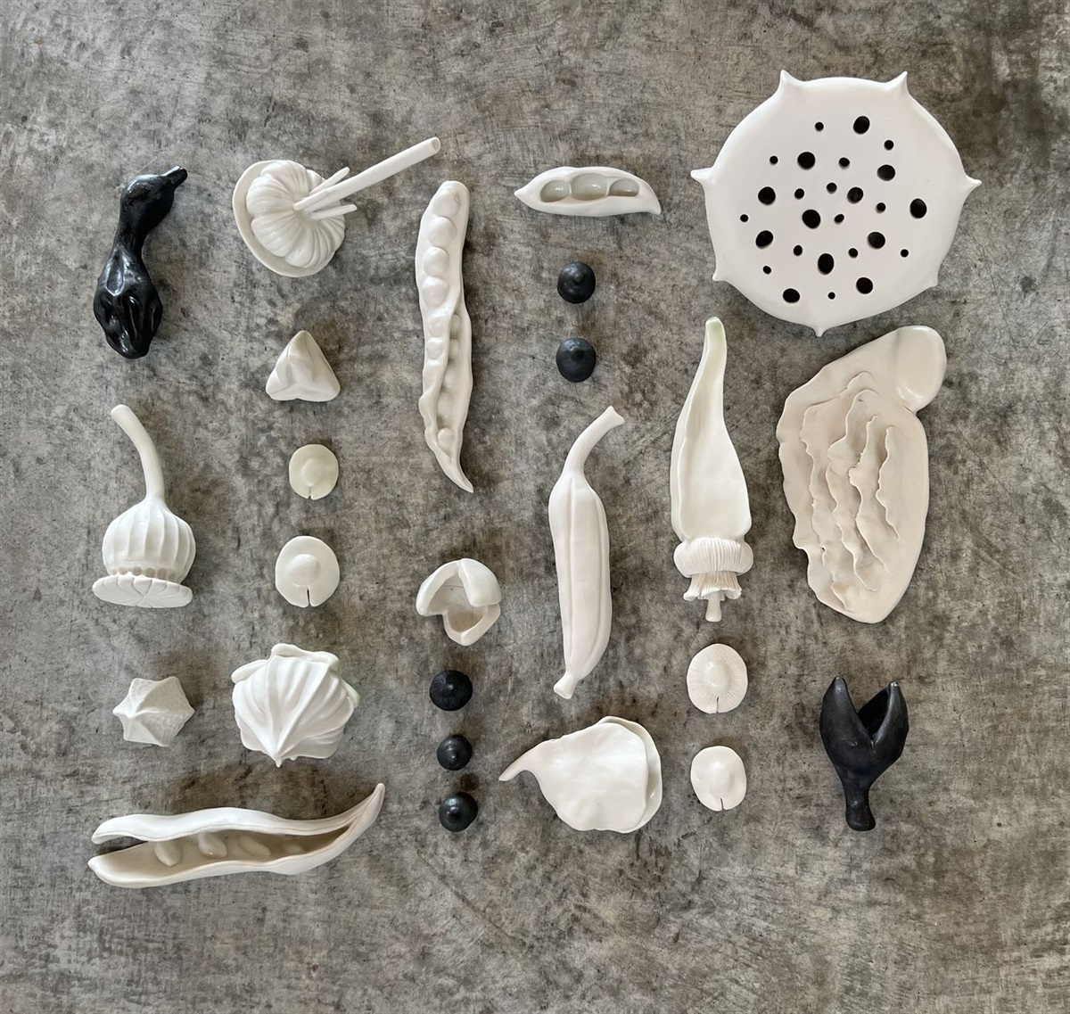 New Kids On The Block Wangaratta Art Gallery